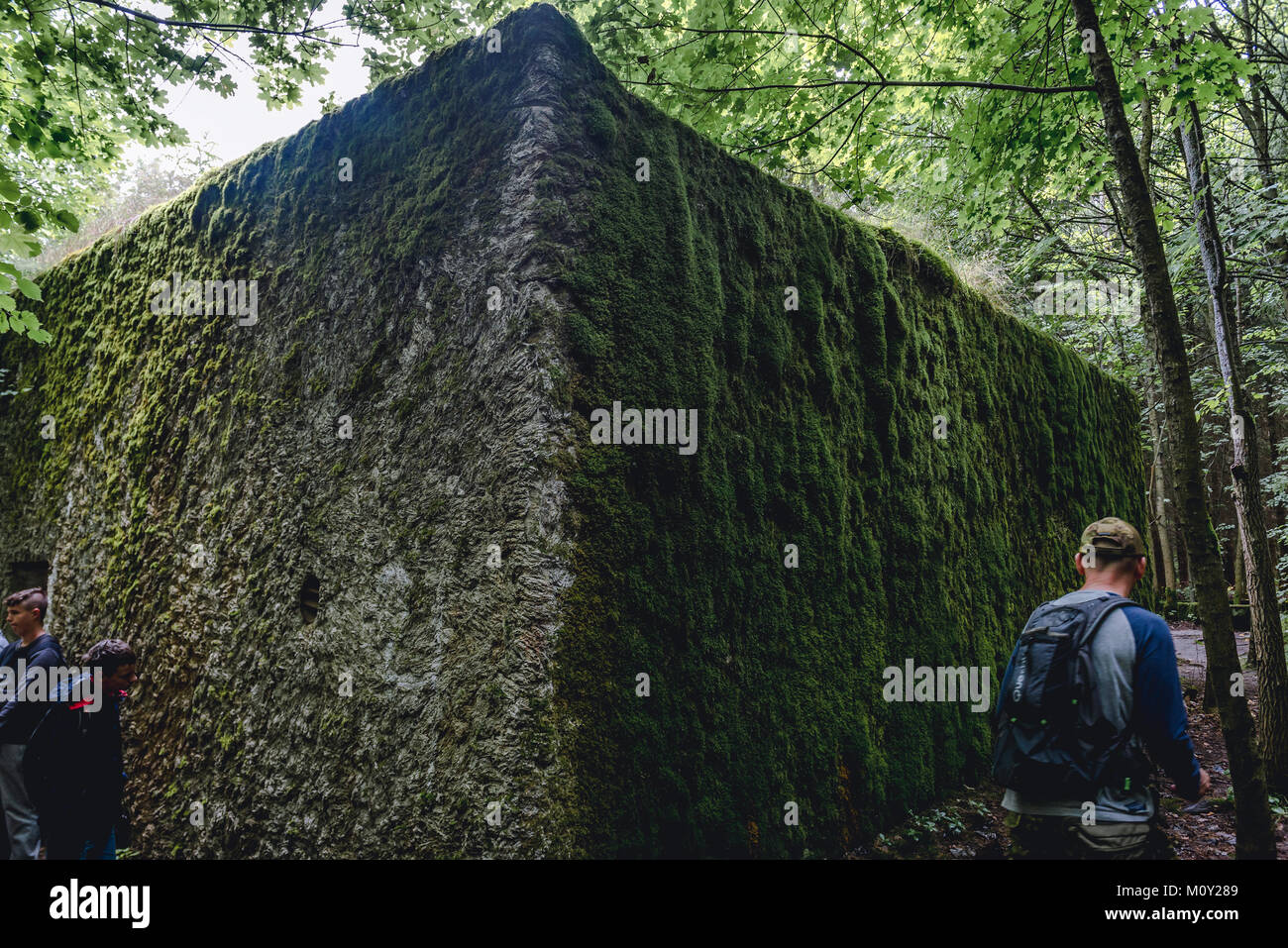 Mauerwald hi-res stock photography and images - Alamy