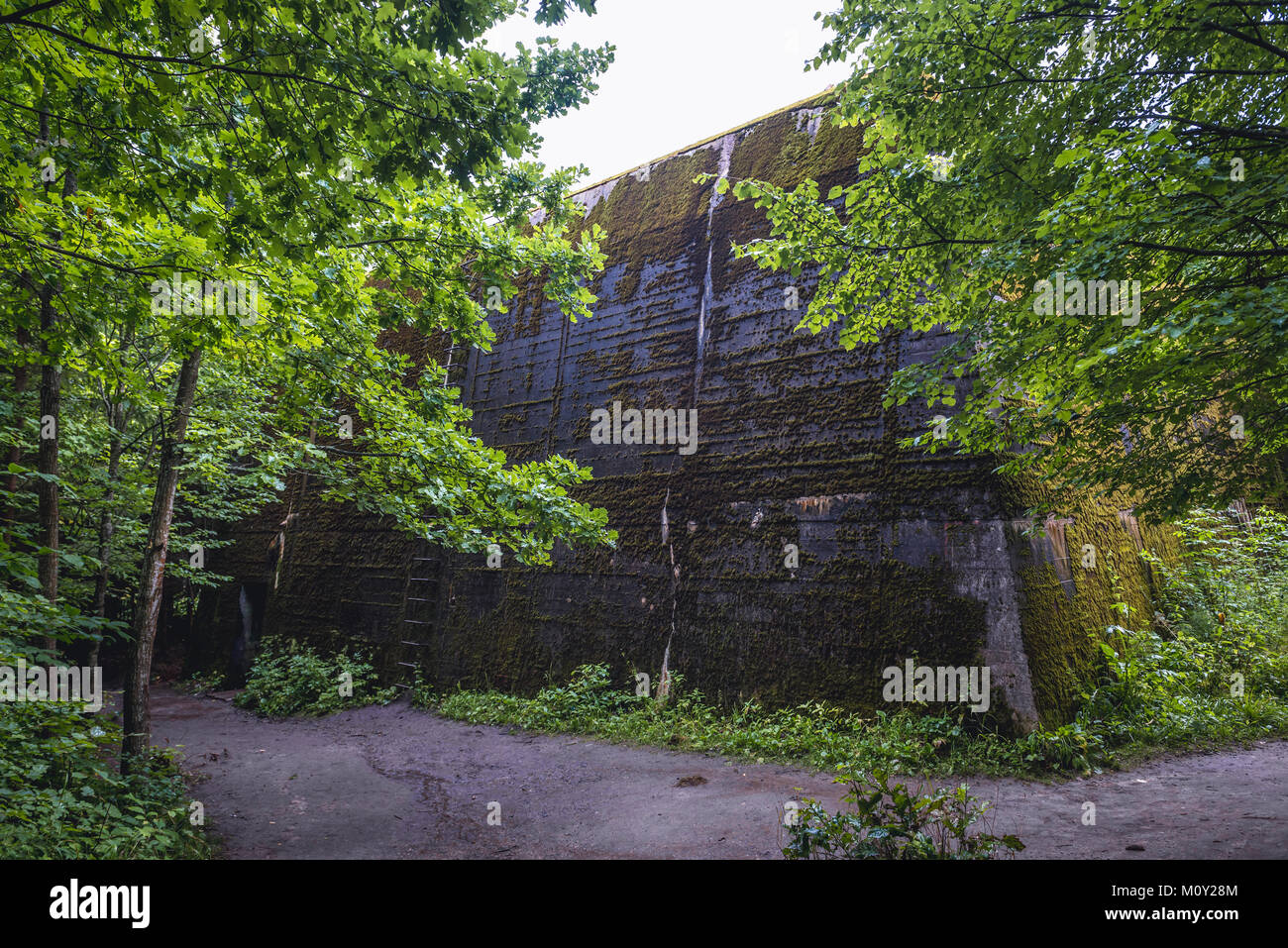 Mauerwald hi-res stock photography and images - Alamy
