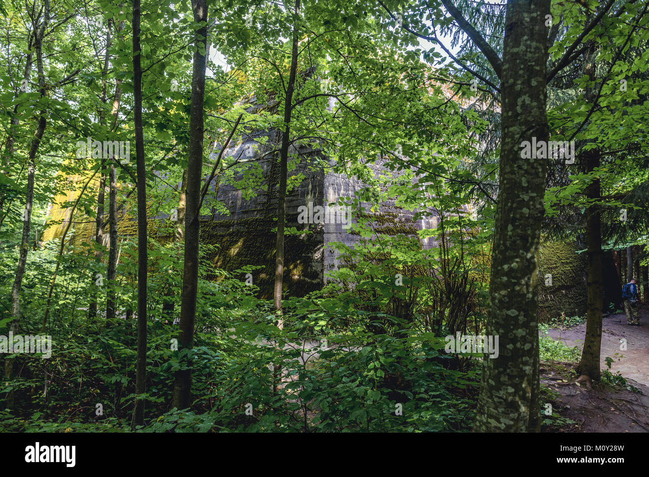 Mauerwald High Resolution Stock Photography and Images - Alamy