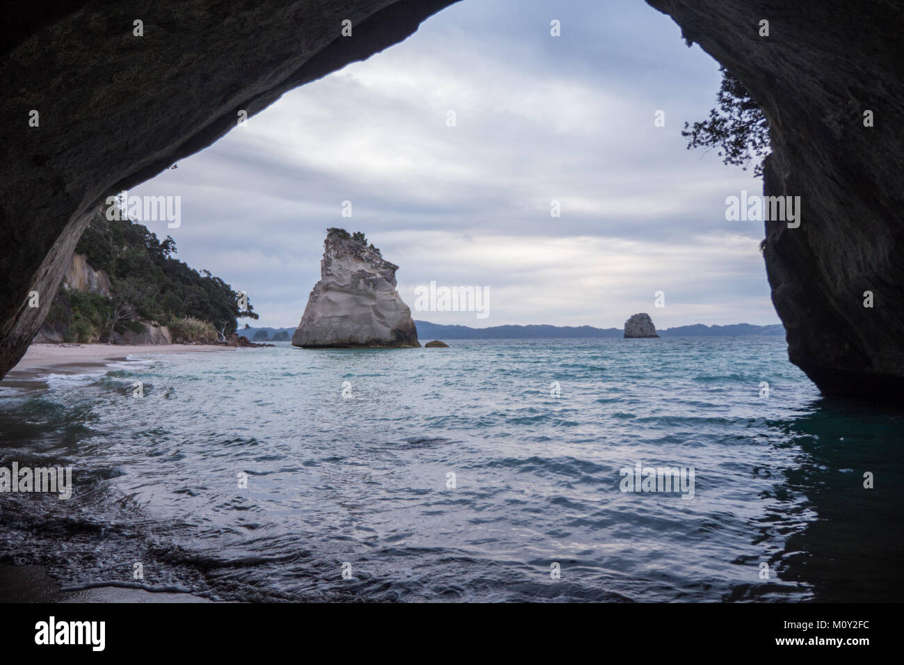 Cathedral Cove coastline, Coromandel, New Zealand Stock Photo - Alamy