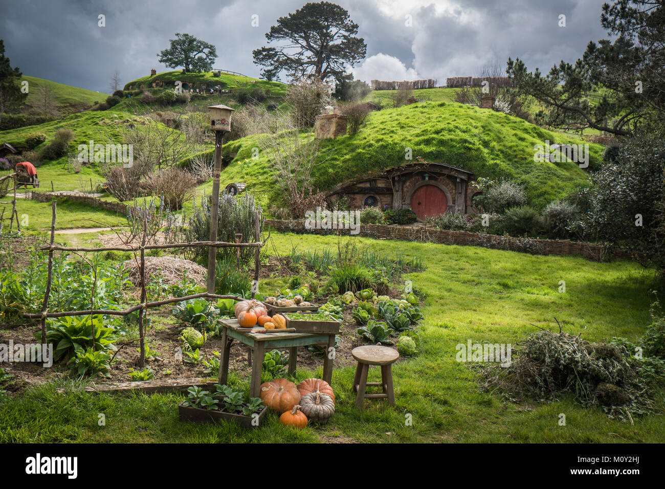 Hobbiton movie set from Lord of the Rings, Matamata, New Zealand Stock ...