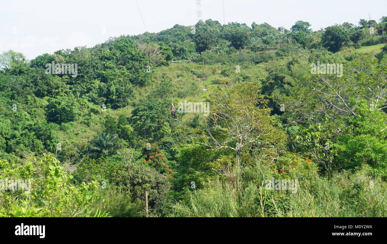 Discover jamaica hi-res stock photography and images - Alamy