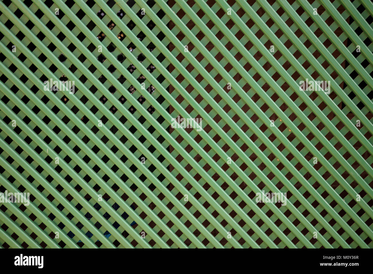 Green grid fence, weaving cross, blank for backdrop. Close up with ...