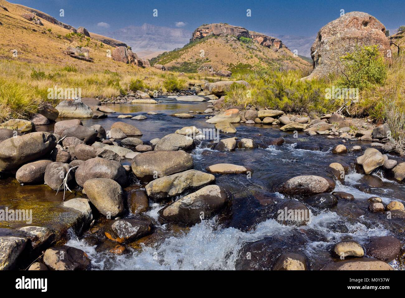 Karoo Desert High Resolution Stock Photography and Images - Alamy