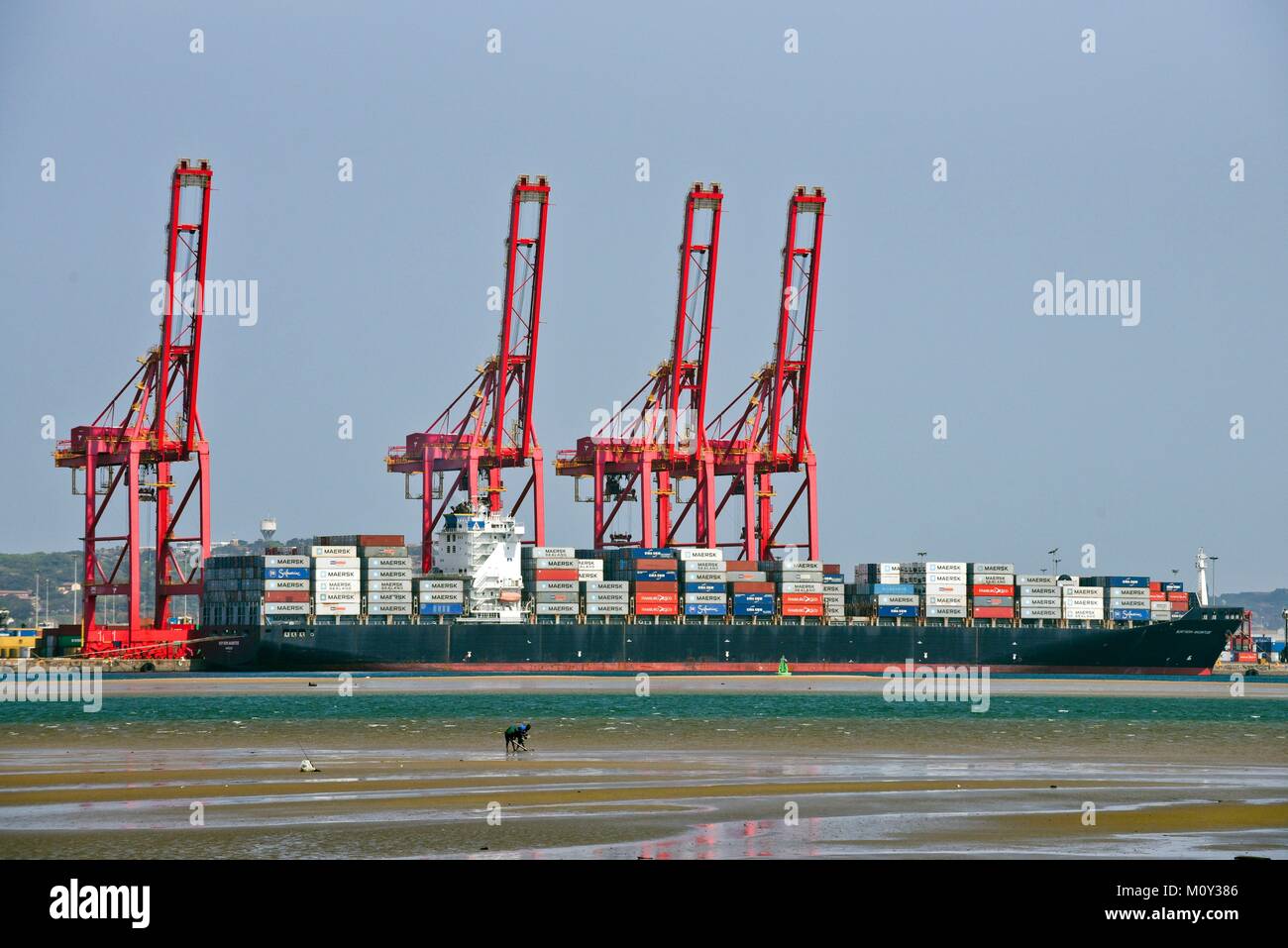 Durban Harbour Stock Photos & Durban Harbour Stock Images - Alamy