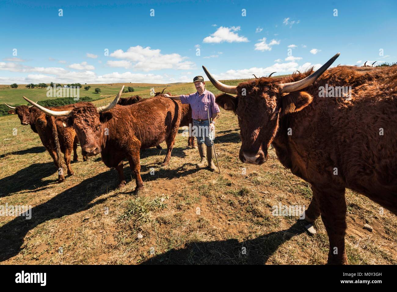 Man cow horn hi-res stock photography and images - Alamy