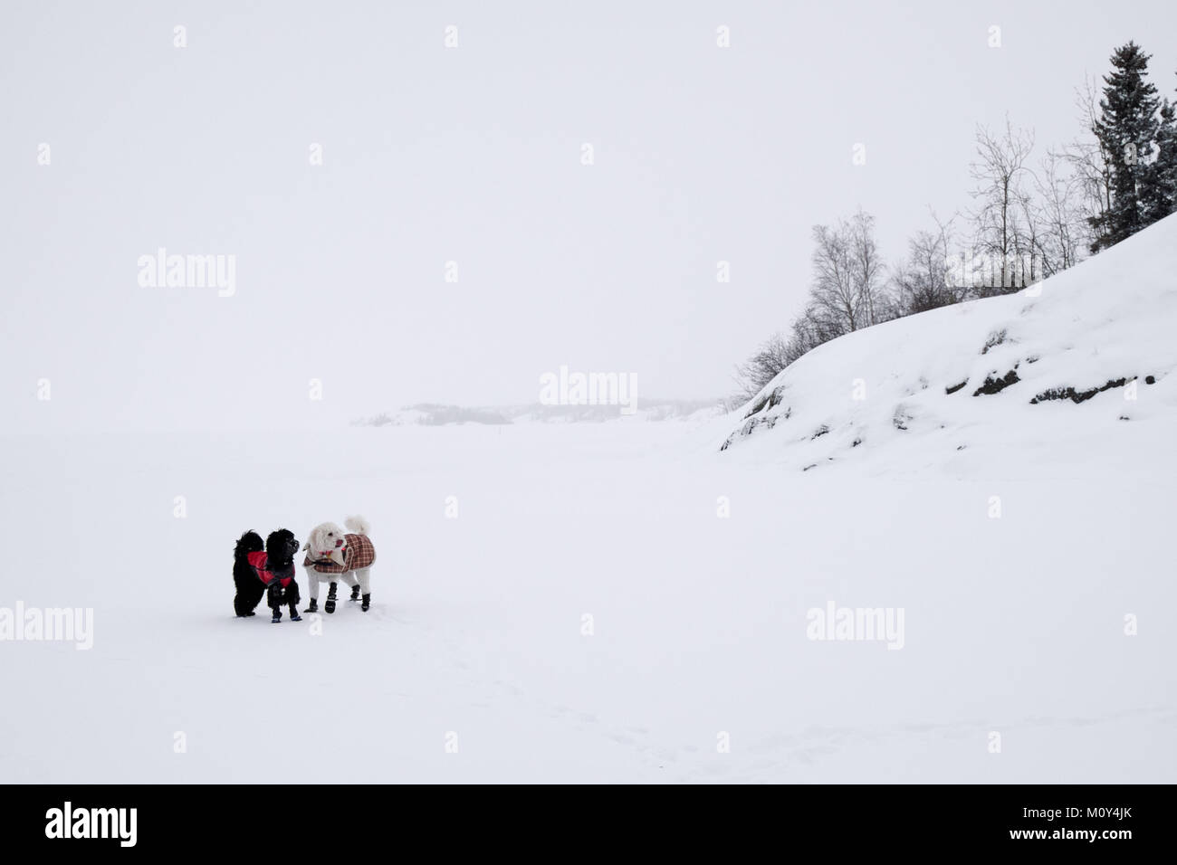 Which way should we go Stock Photo - Alamy