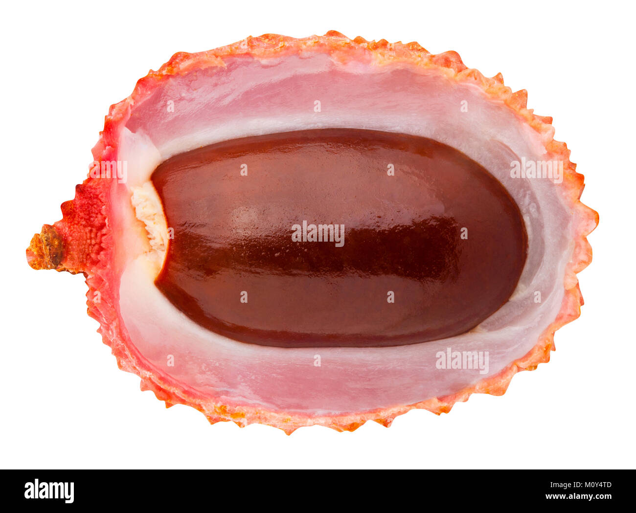 Lychee seed hi-res stock photography and images - Alamy