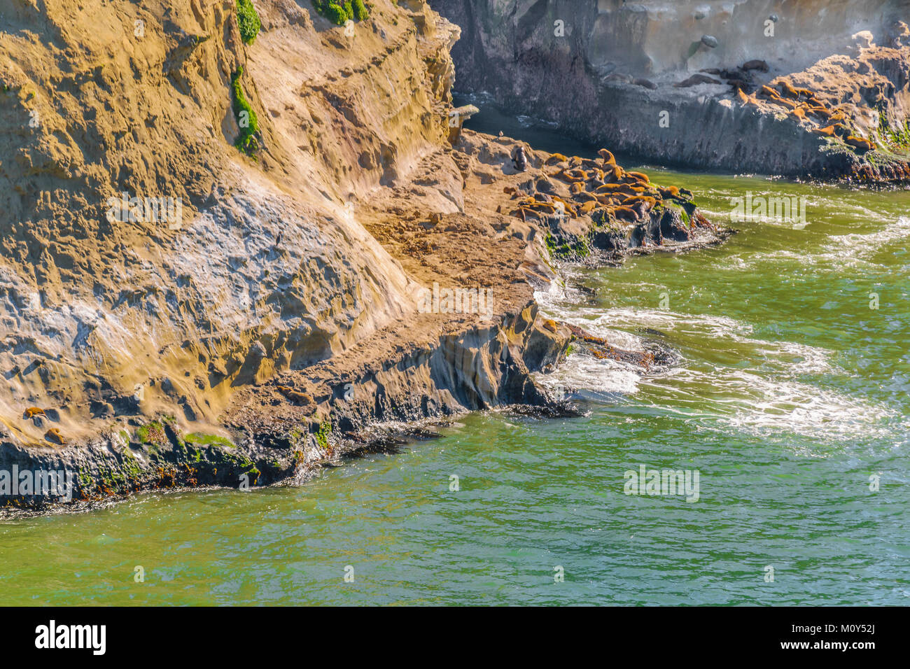 Aerial landscape scene with big rocky mountain and sea wolfs at shore ...