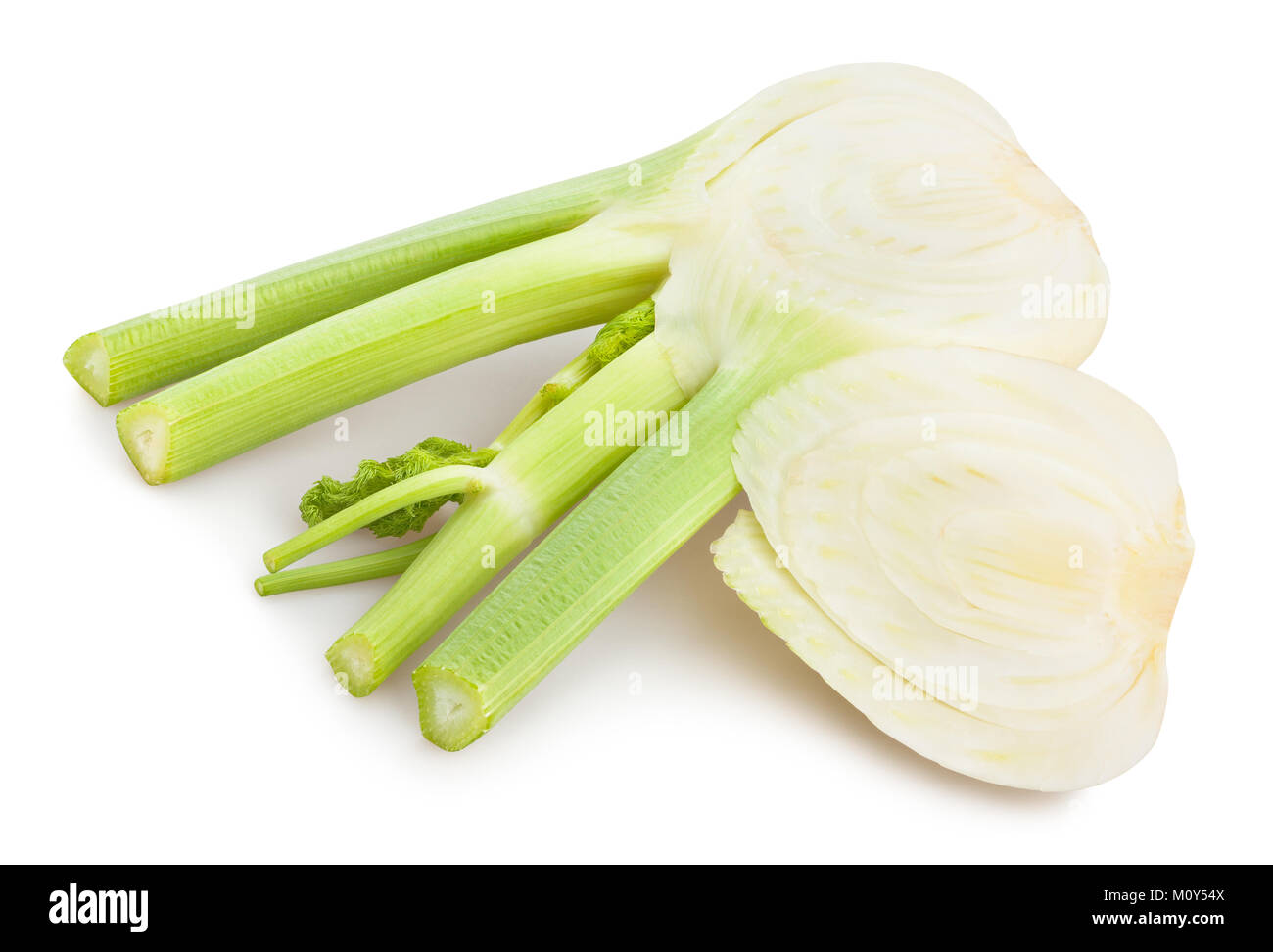 sliced fennel path isolated Stock Photo - Alamy