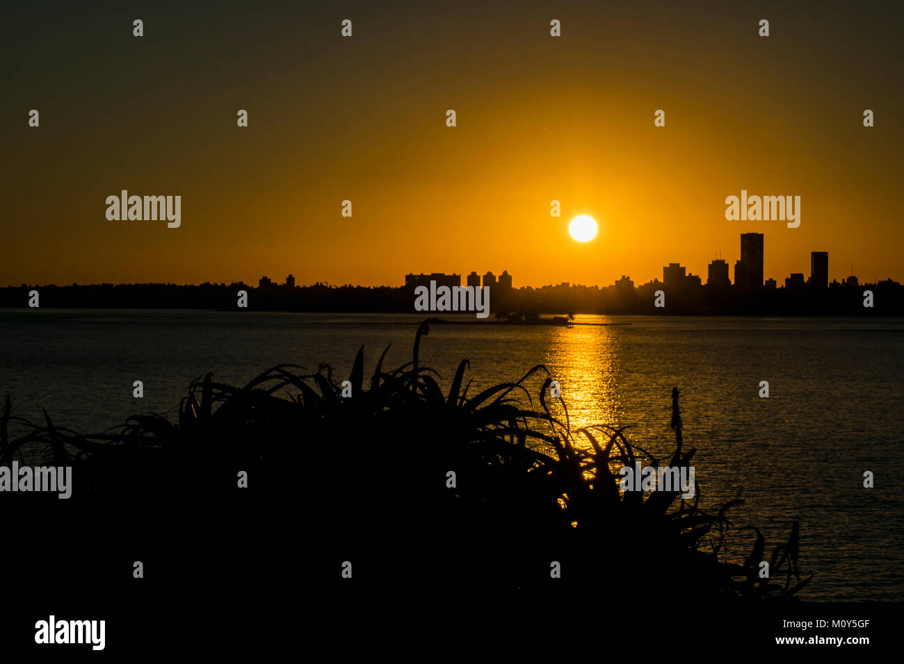 Silhouette sunset cityscape scene from plaza virgilio square in ...