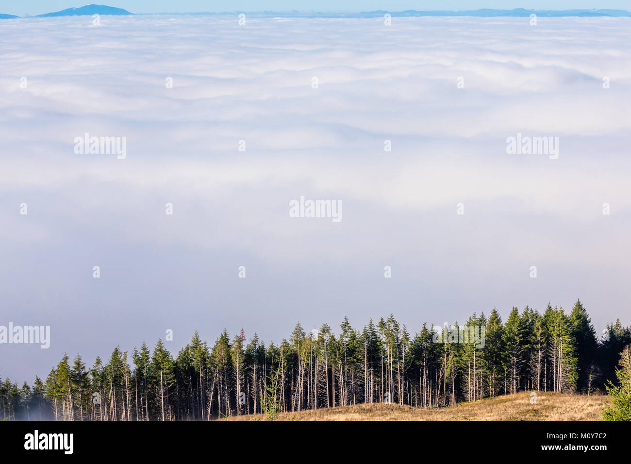 Coburg oregon hi-res stock photography and images - Alamy