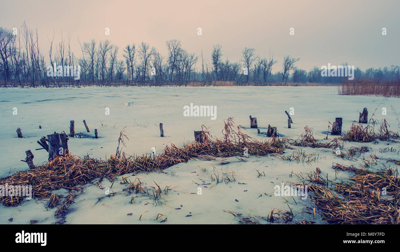 ice on the river and old reeds. Early spring. Rural landscape. Panorama ...