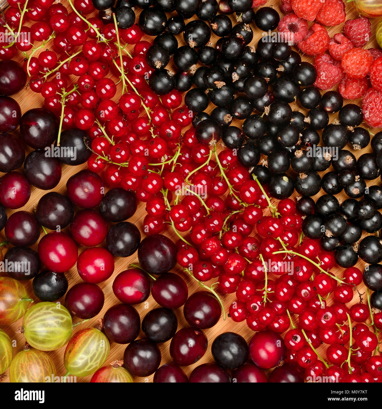 Collection of variety fruits (currants, gooseberries, raspberries ...