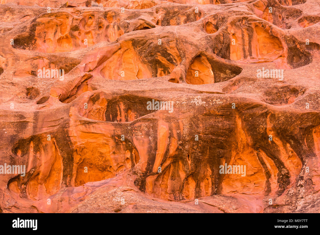 Uniquely eroded swiss cheese red rock formations line Long Canyon on ...