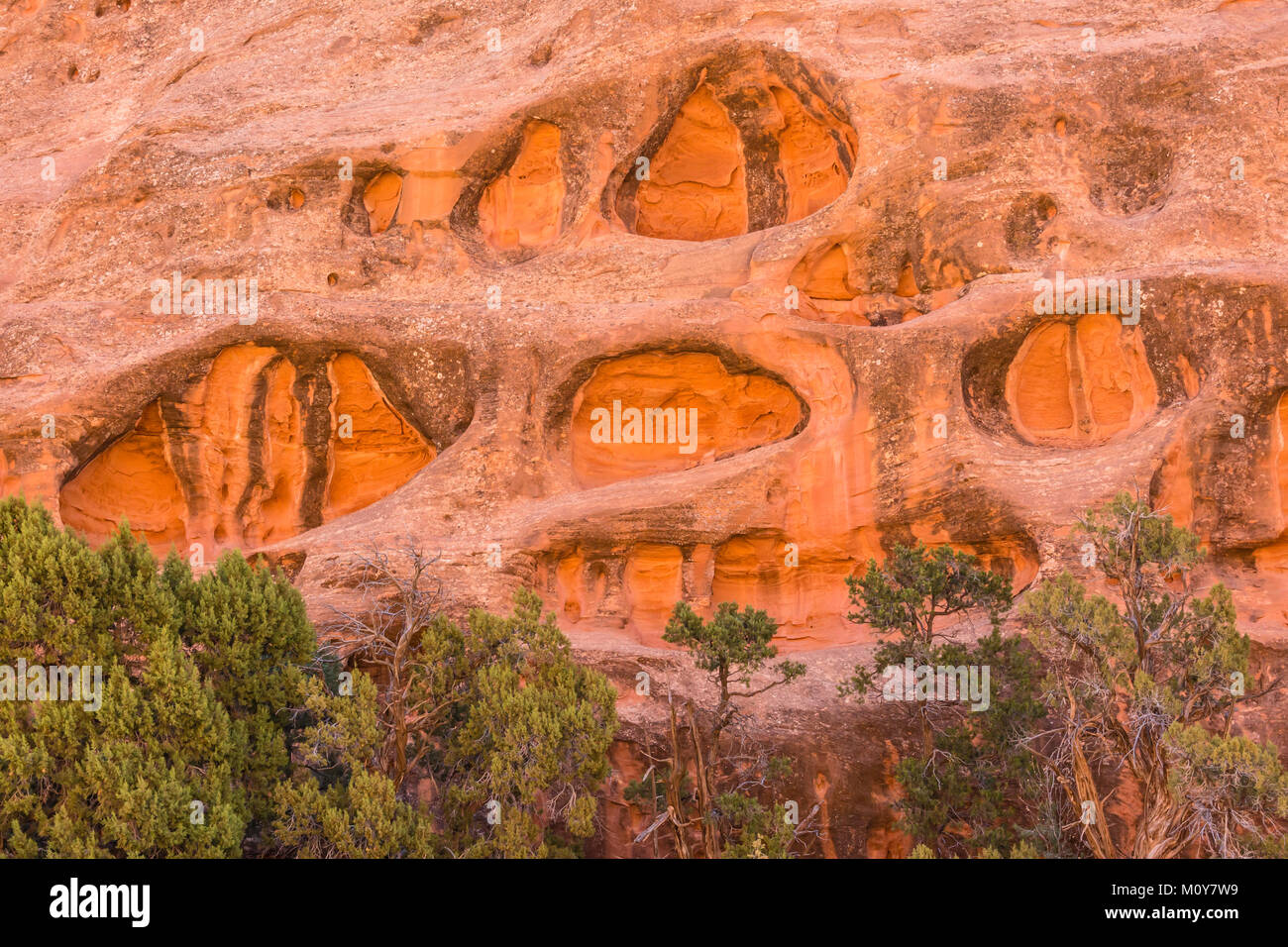 Uniquely eroded swiss cheese red rock formations line Long Canyon on ...