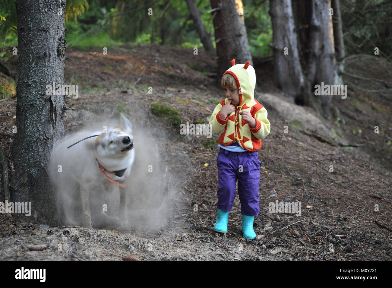 Girl and dust dog Little funny Girl and cute dog. the dog got out of a ...