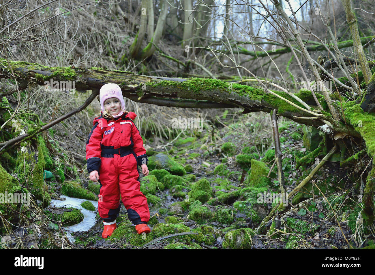 Little girl in a springtime forrest Stock Photo - Alamy