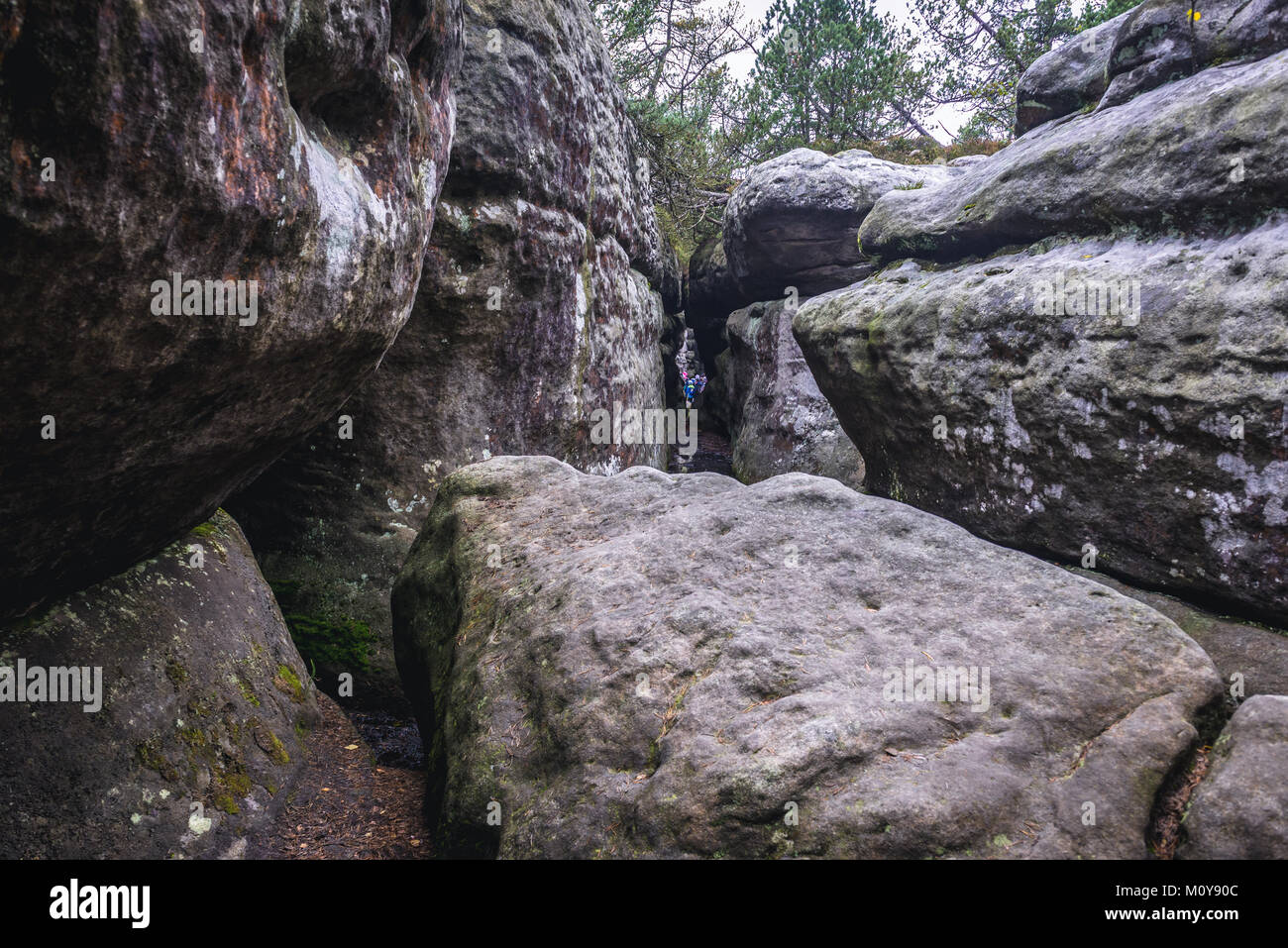 Rock labirynth called Bledne Skaly (Errant Rocks) in Stolowe Mountains ...