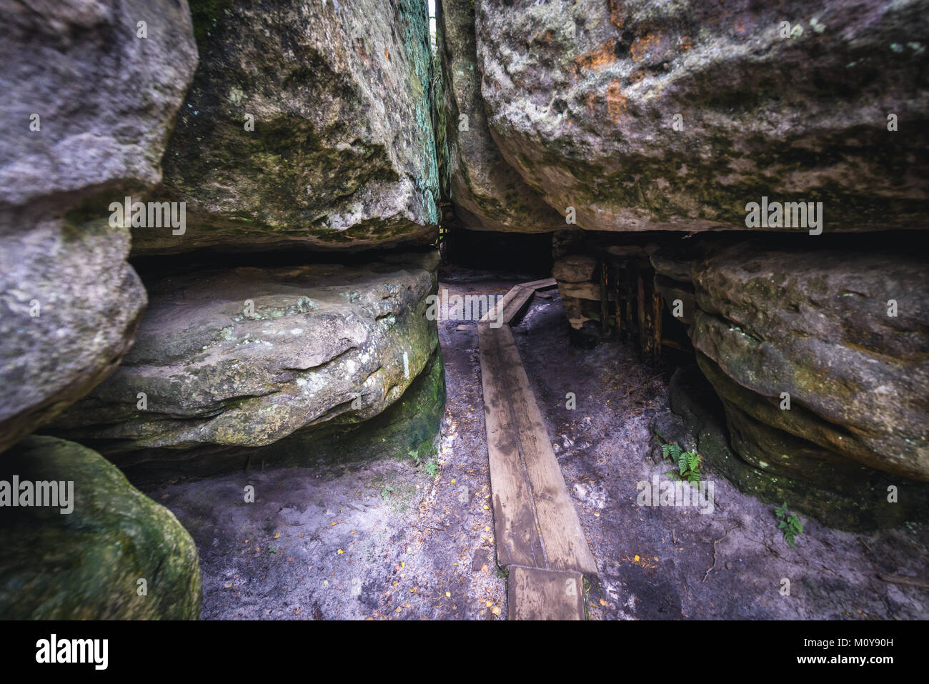 Rock labirynth called Bledne Skaly (Errant Rocks) in Stolowe Mountains ...