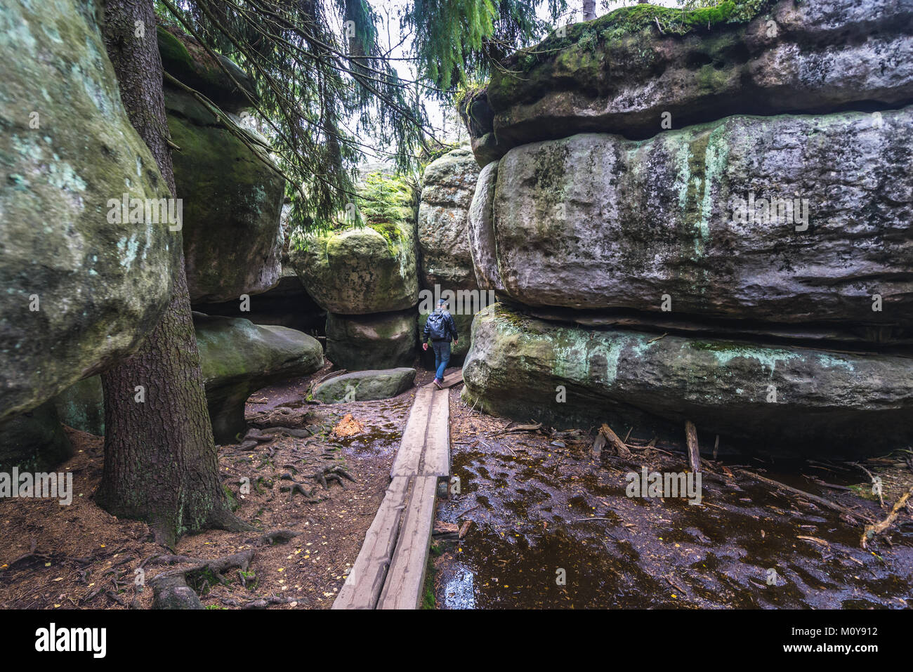 Tourist in Rock labirynth called Bledne Skaly (Errant Rocks) in Stolowe ...
