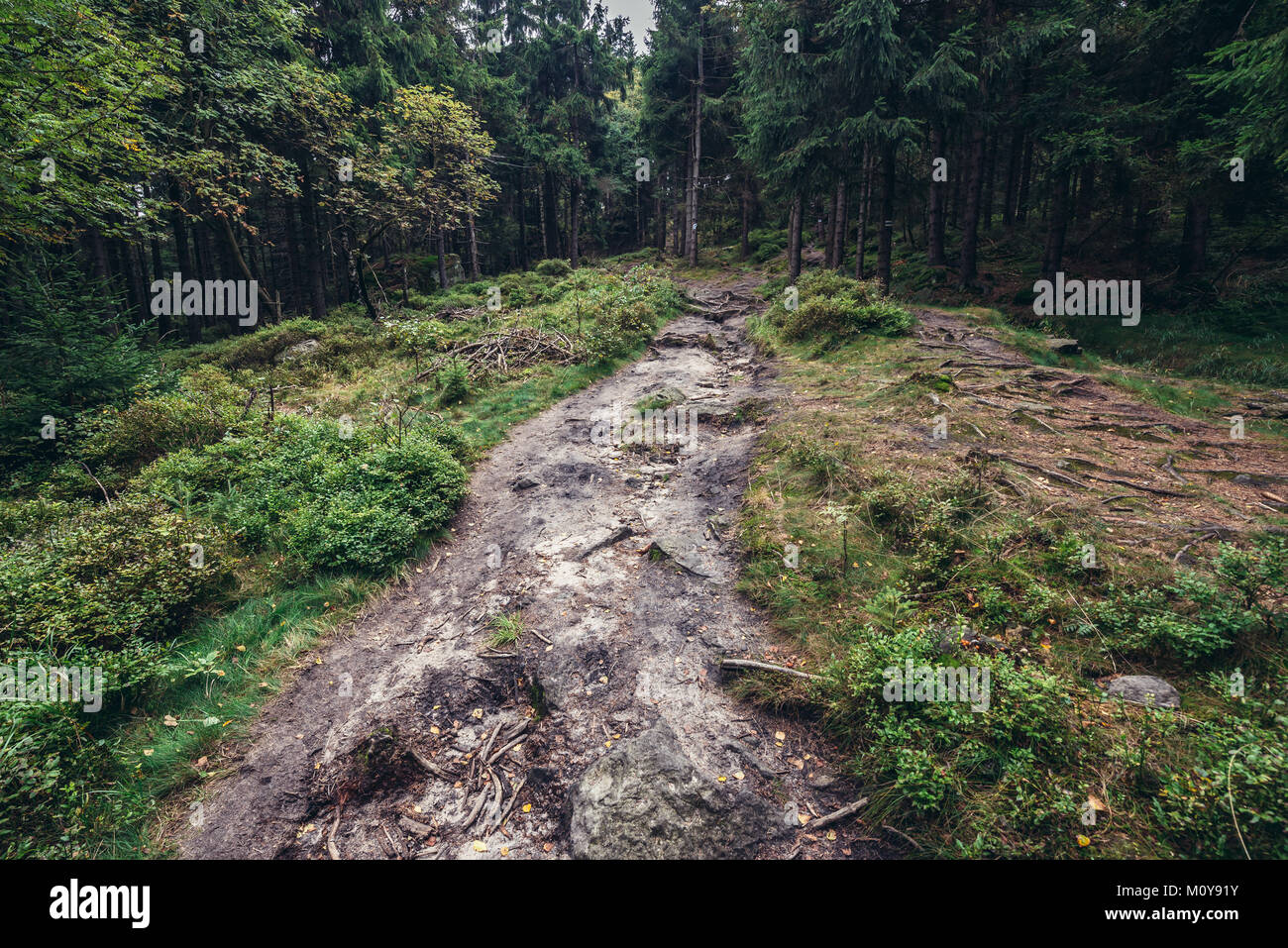 Table mountains national park hi-res stock photography and images - Alamy