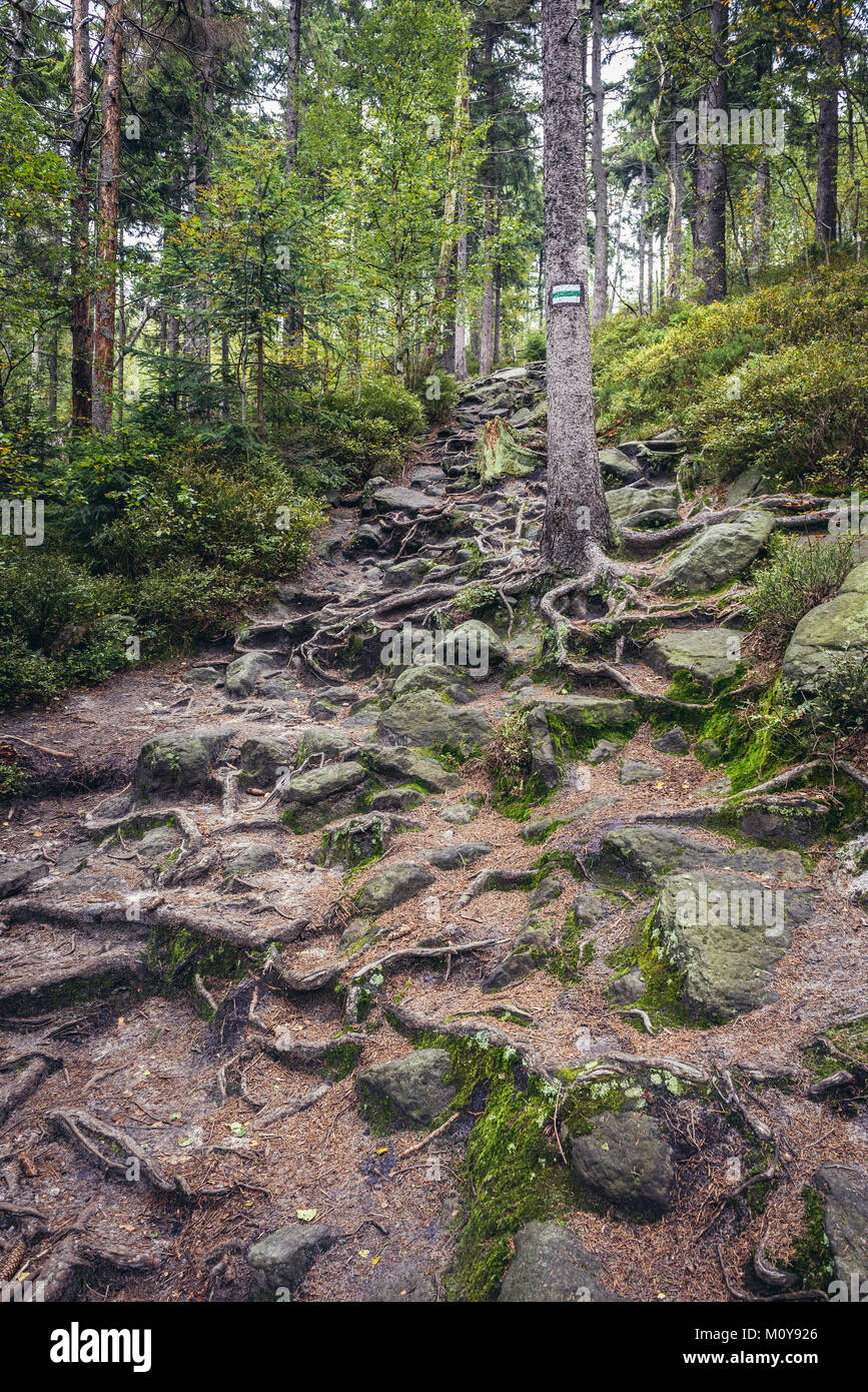 Table mountains national park hi-res stock photography and images - Alamy