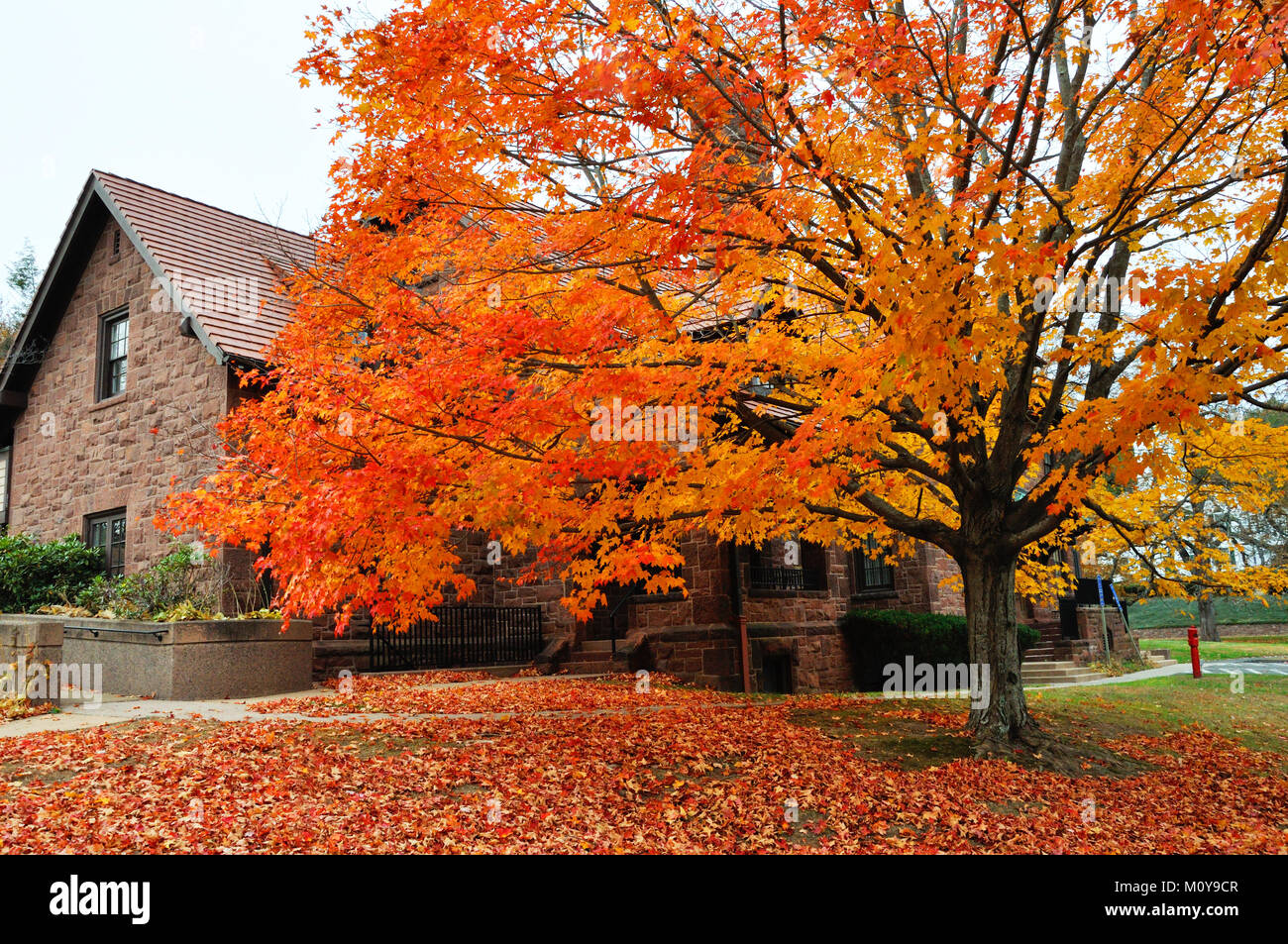 Indian Summer in Connecticut, USA Stock Photo - Alamy