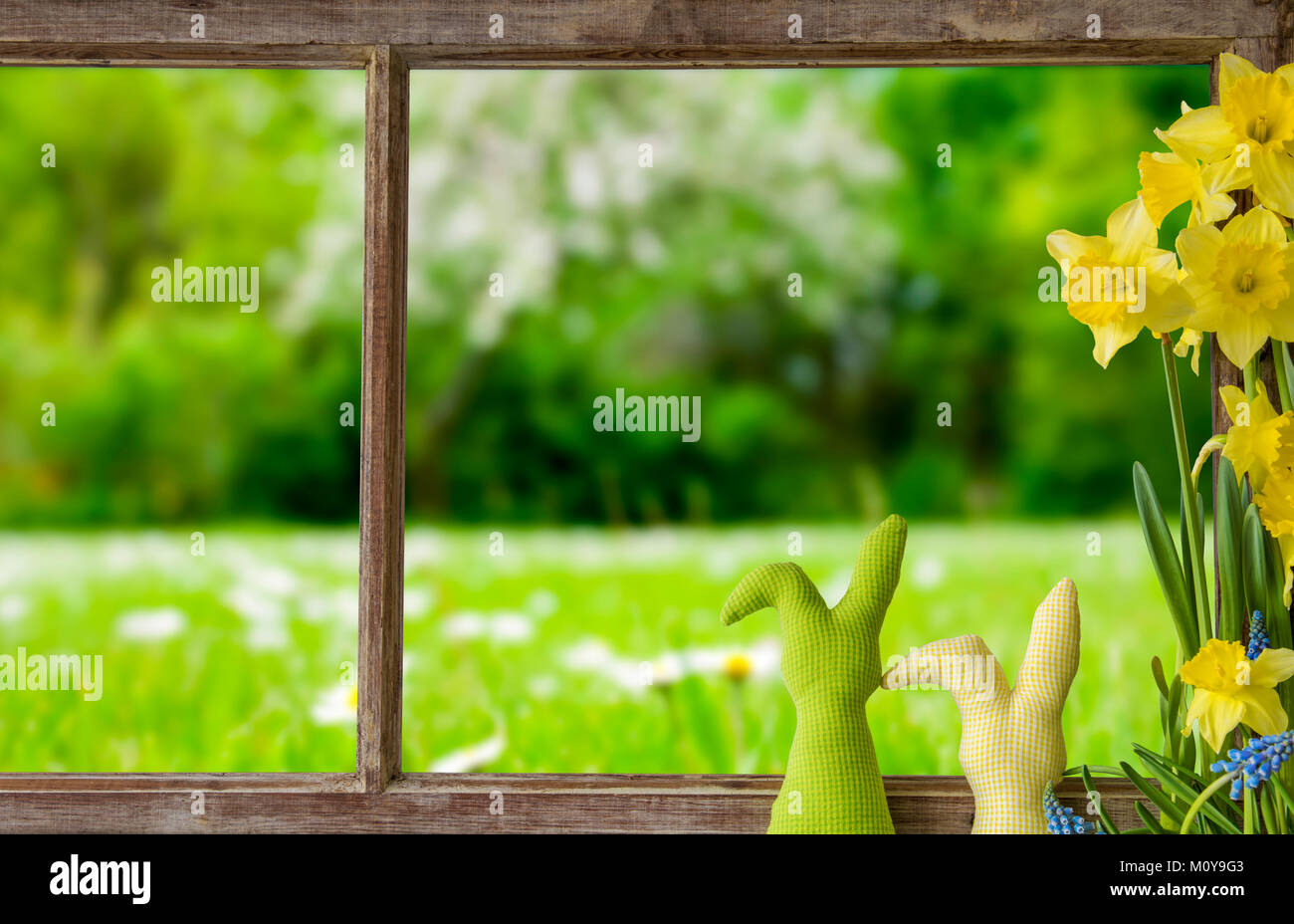 Window, Green Meadow Stock Photo - Alamy