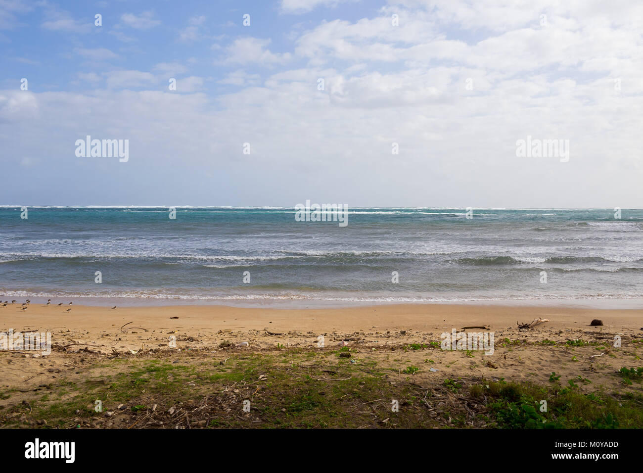 Oahu Hawaii Windward Side Beach Stock Photo - Alamy