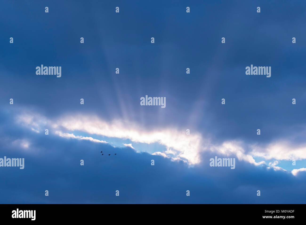 Light rays bursting through the clouds Stock Photo - Alamy