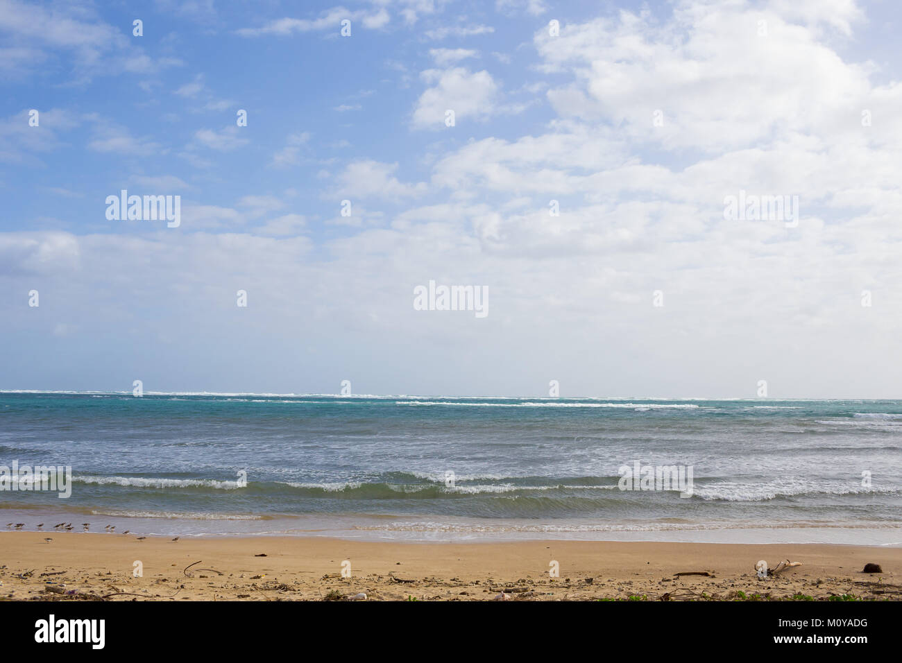 Hawaii beaches hi-res stock photography and images - Alamy