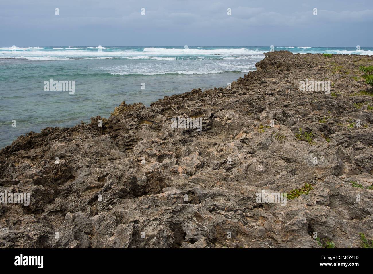 Turtle Bay Pacific Ocean Beach Stock Photo - Alamy