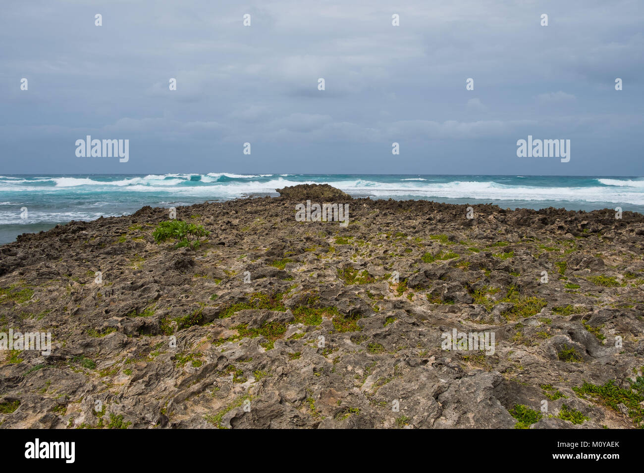 Turtle Bay Pacific Ocean Beach Stock Photo - Alamy