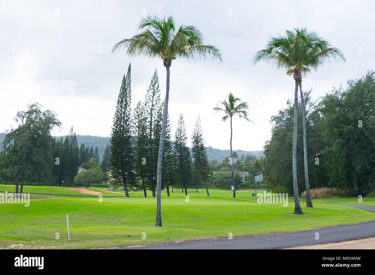 Turtle Bay Golf Course Stock Photo - Alamy