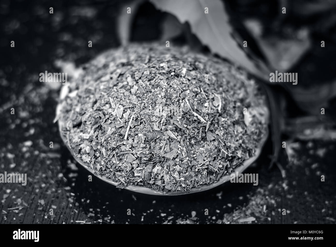 Powder of Indian lilac,Azadirachta indica in a glass plate with its ...
