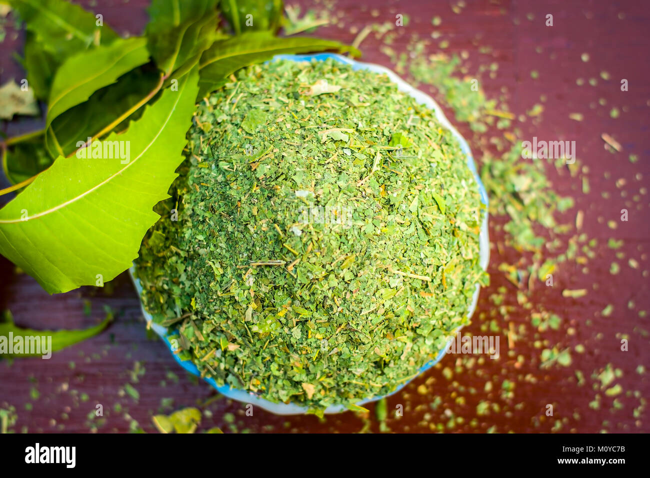Powder of Indian lilac,Azadirachta indica in a glass plate with its ...