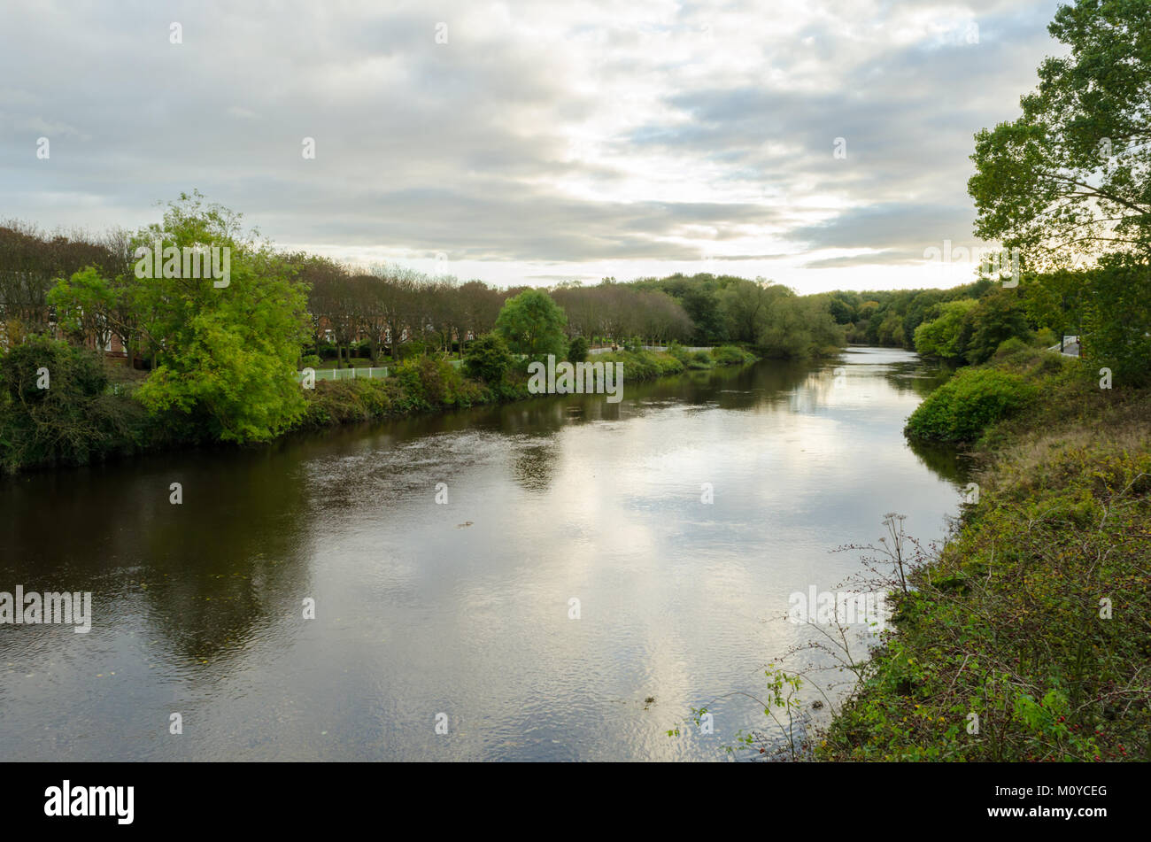 View Upstream of the River Wear at Fatfield, Washington Stock Photo - Alamy