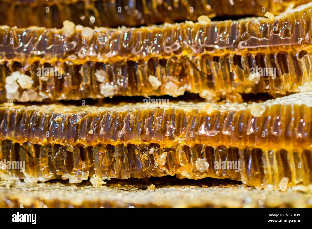 Sweet fresh honey in the sealed comb frame Stock Photo - Alamy