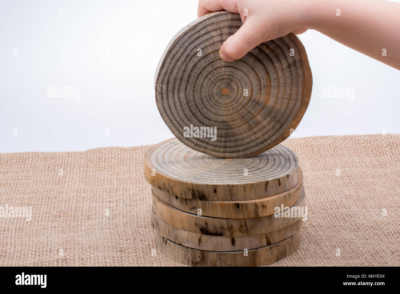 Wood Log cut in round thin pieces in hand Stock Photo - Alamy