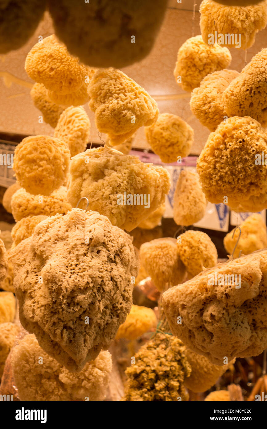 Collection of sea sponges hanging on a market stall Stock Photo - Alamy