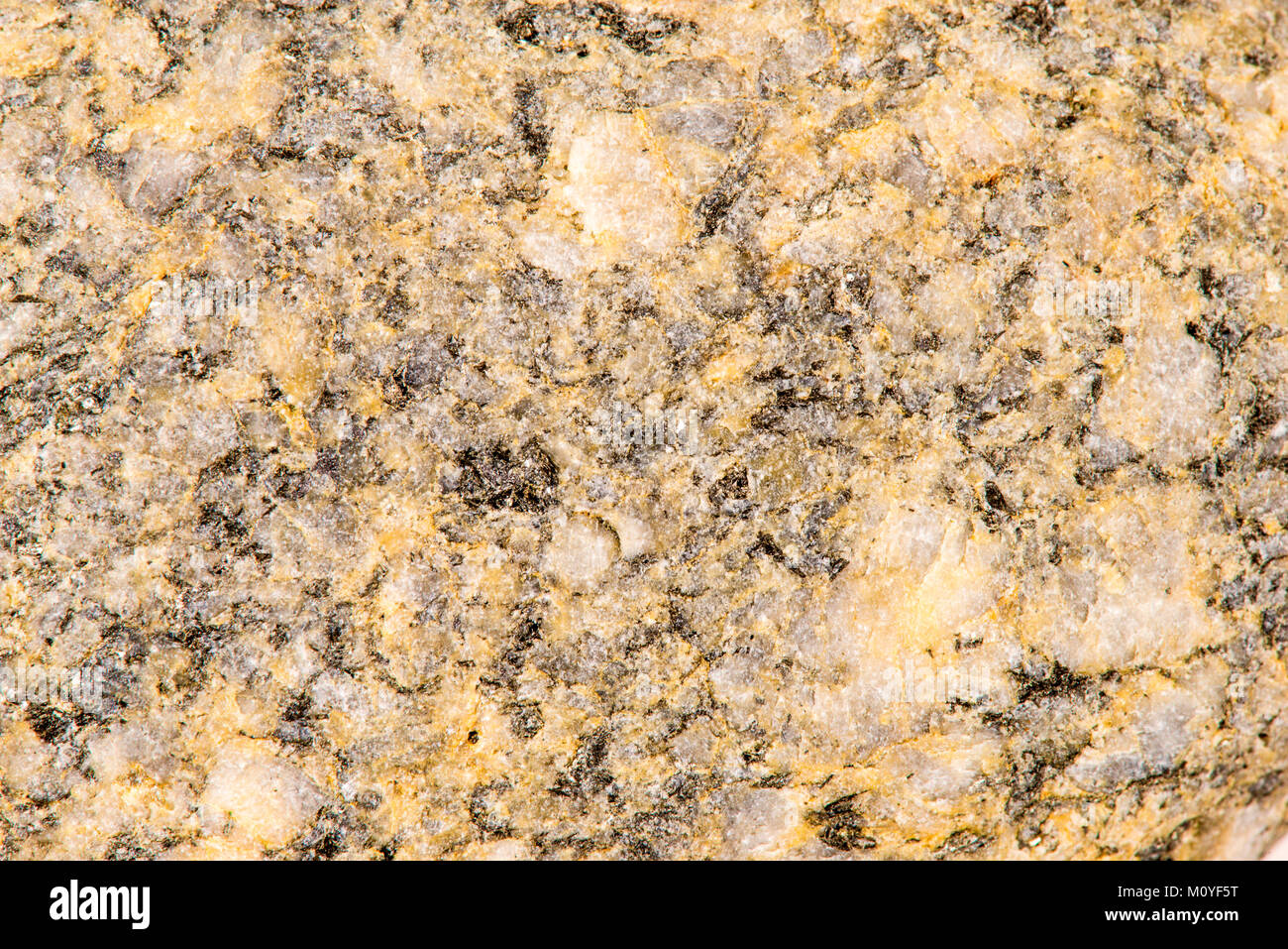 stone with phenocrysts Stock Photo - Alamy
