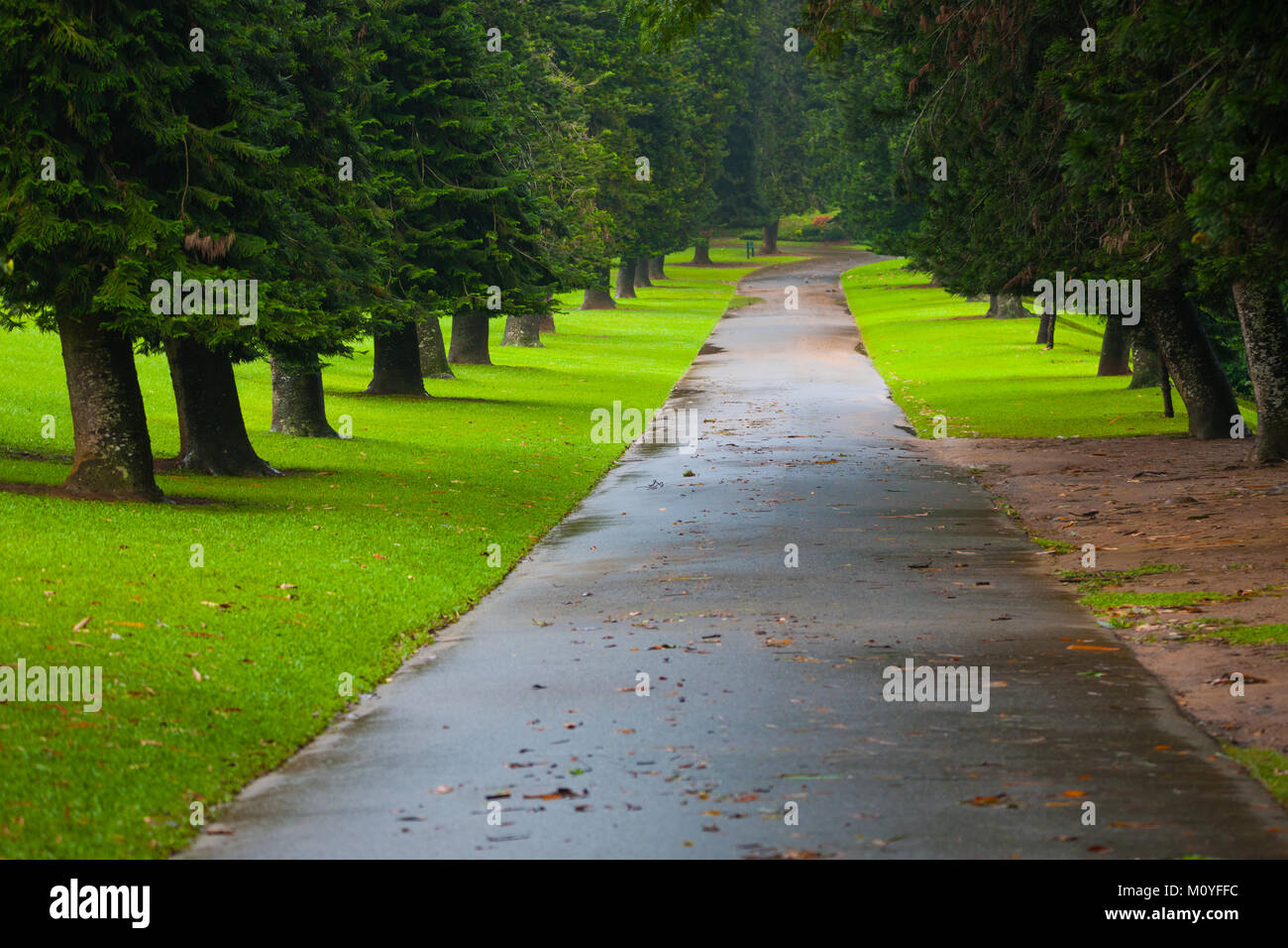 Urban park and pathway after the rain Stock Photo - Alamy