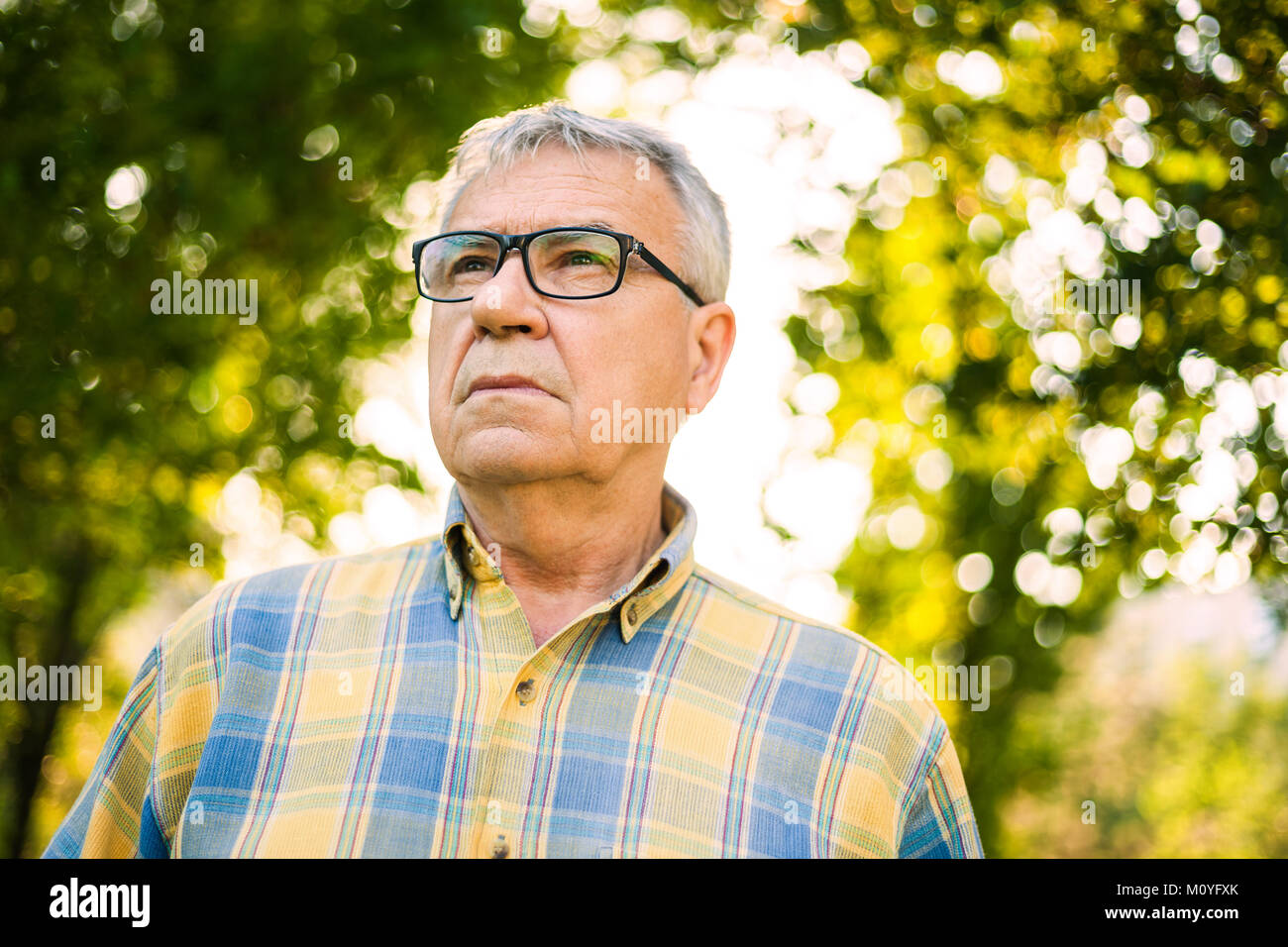 Portrait of worried senior man in park Stock Photo - Alamy