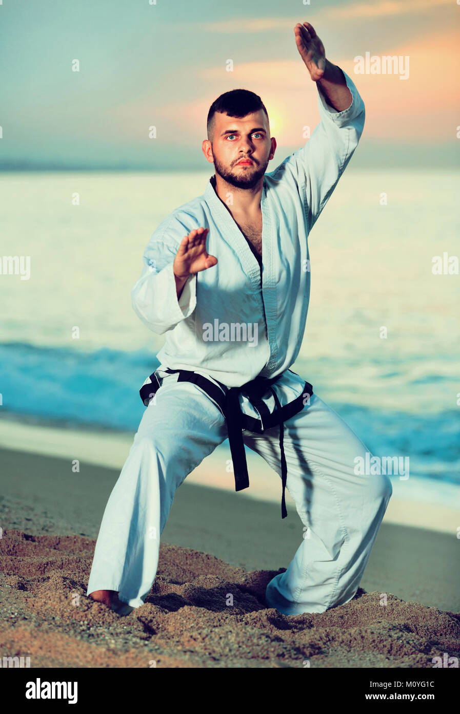 Diligent friendly smiling pleasant young guy doing karate poses at ...