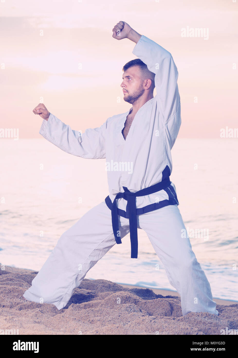 Young guy practising karate kata poses at seaside Stock Photo - Alamy