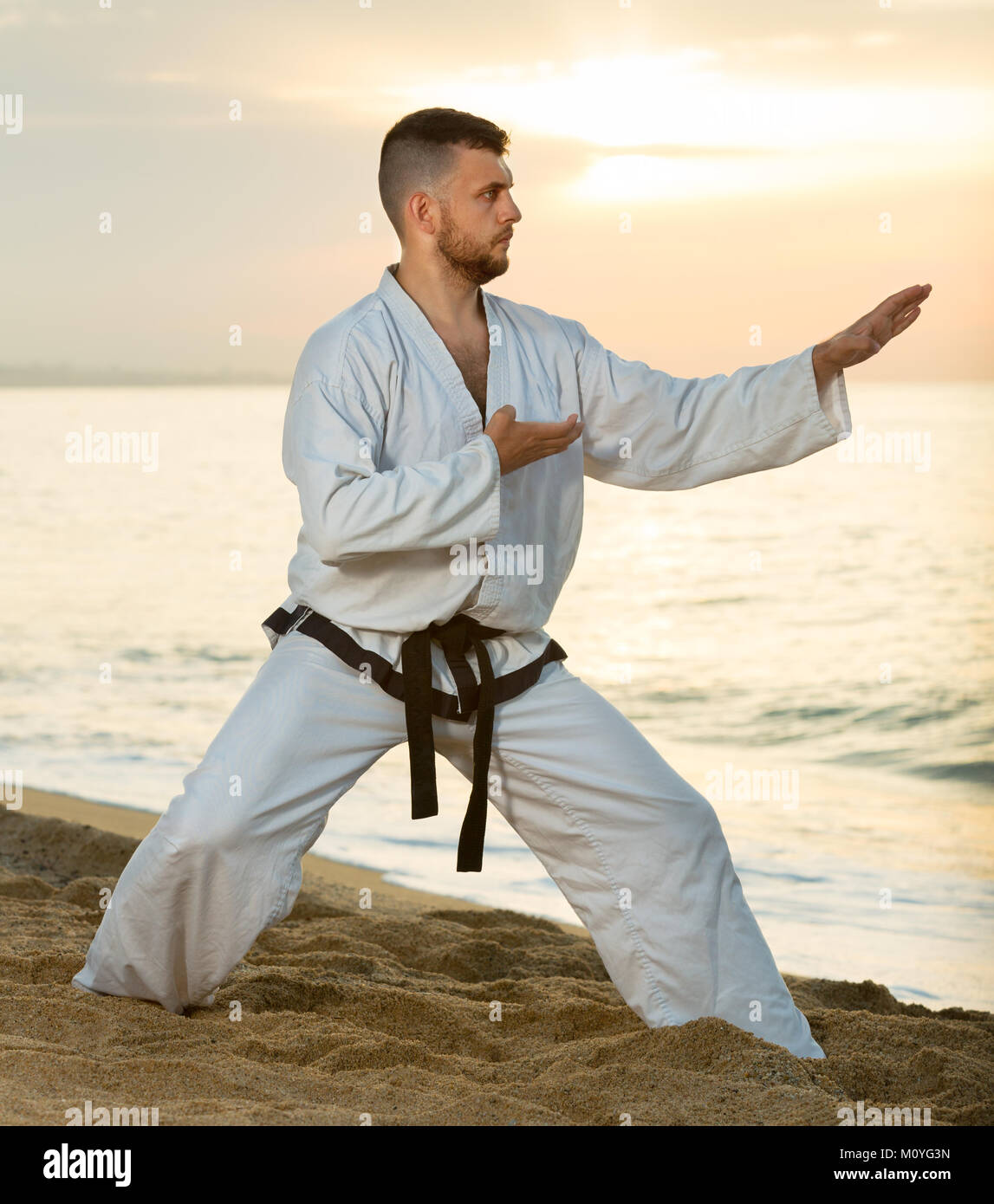Handsome guy practising karate kata poses at seaside Stock Photo - Alamy