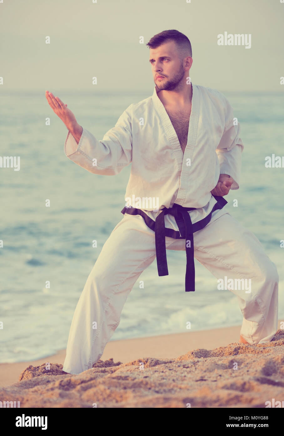 Ordinary male practising karate kata poses at seaside Stock Photo - Alamy