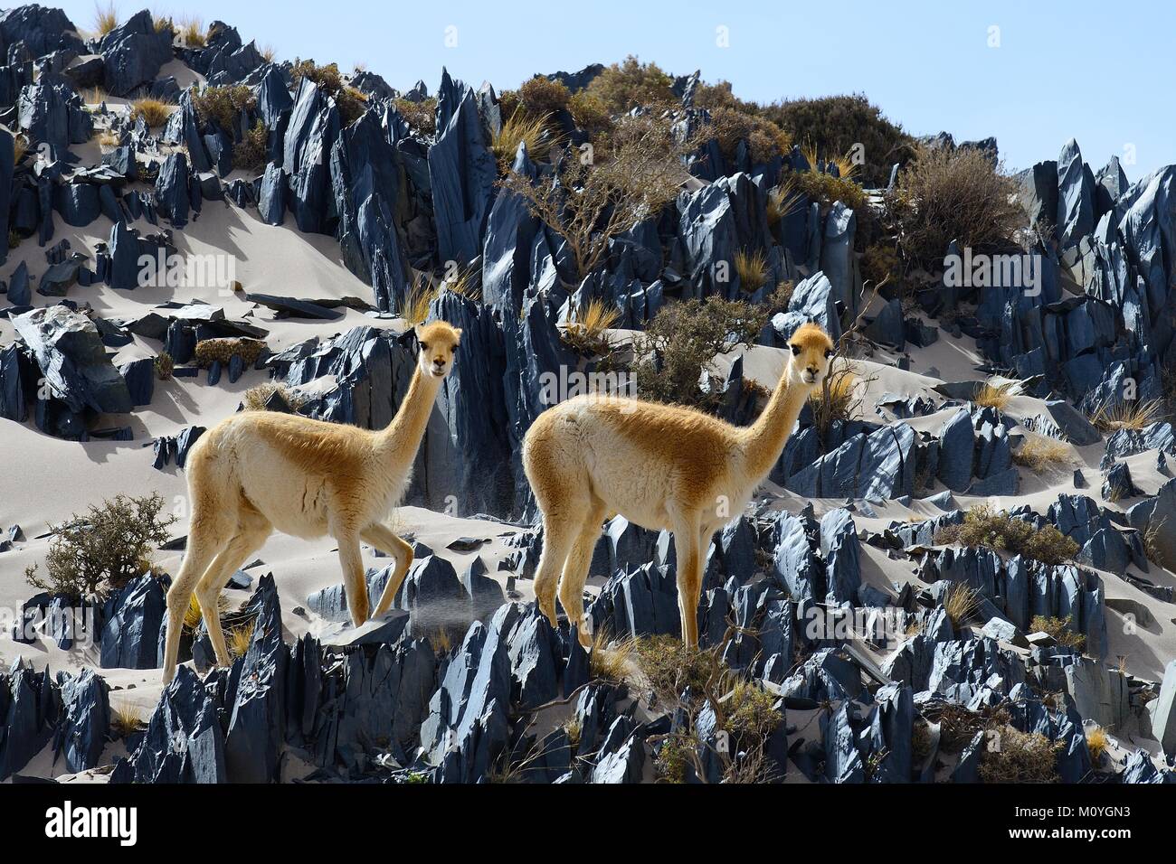 Sharp rocks hi-res stock photography and images - Alamy