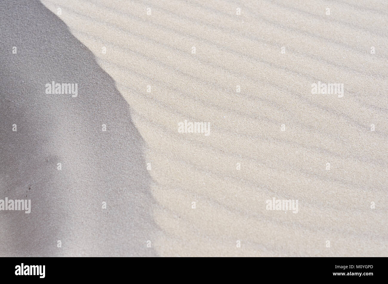 Sand texture. This is sand from Sahara desert Stock Photo - Alamy